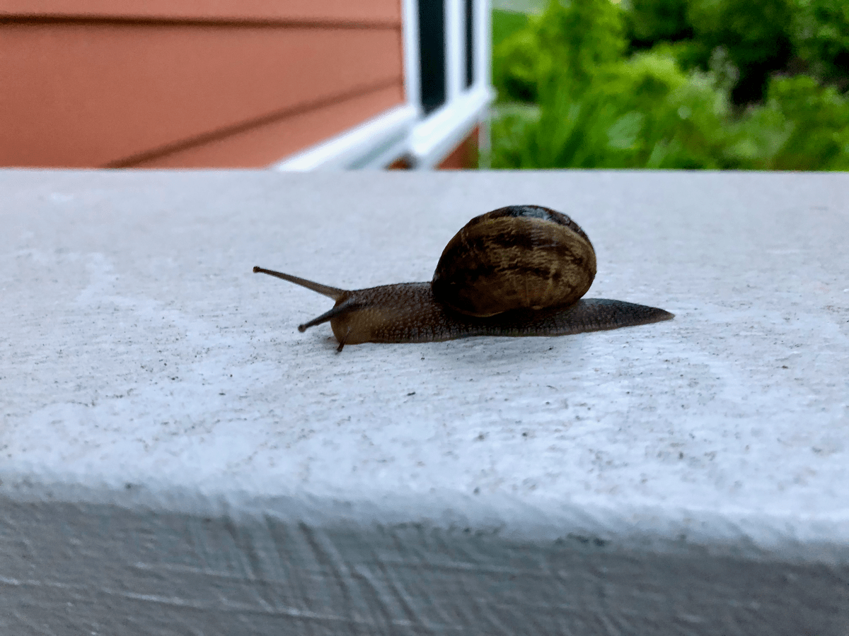 Inching Forward – Travels with Kate